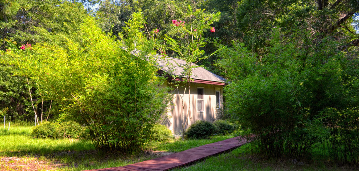 Home - Dhamma Patapa