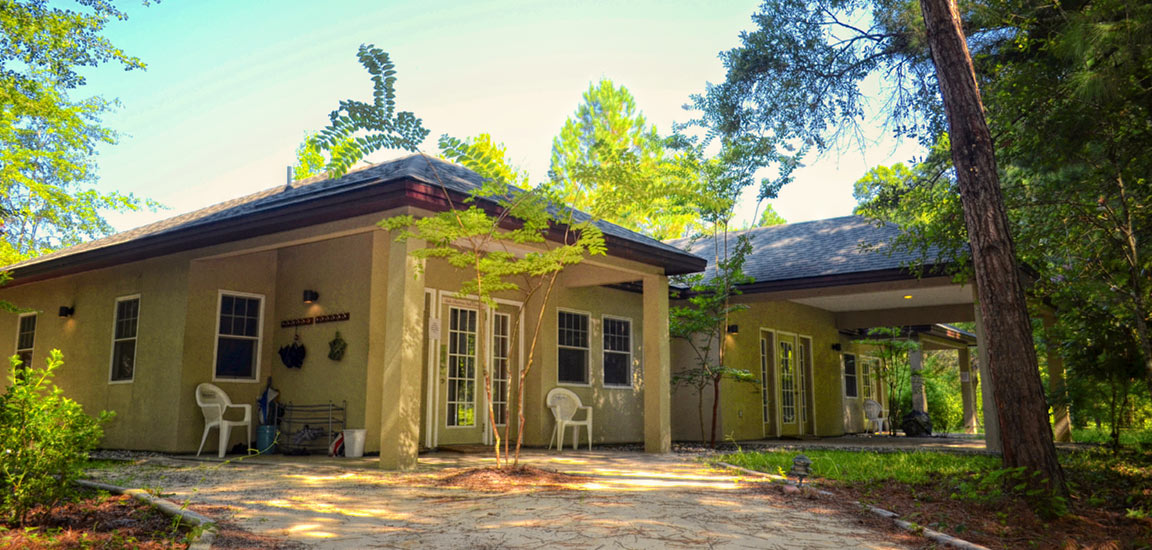 Home - Dhamma Patapa