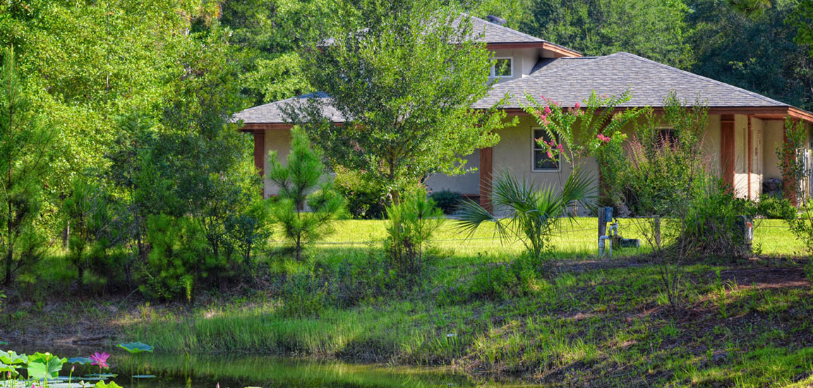 Home - Dhamma Patapa