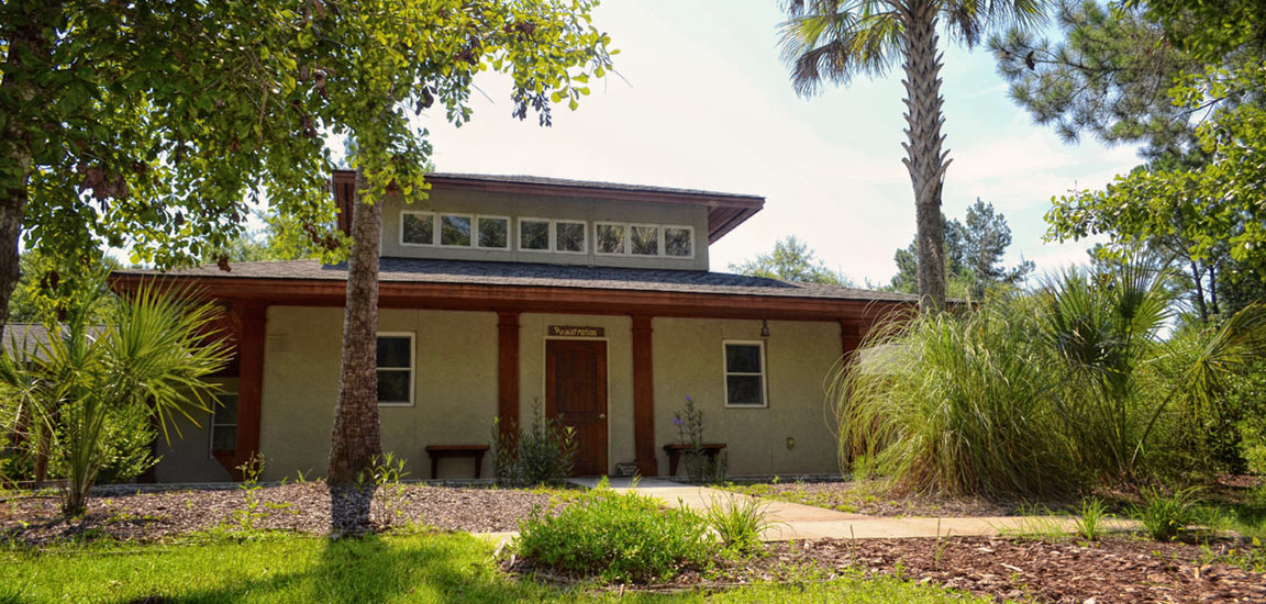 Home - Dhamma Patapa